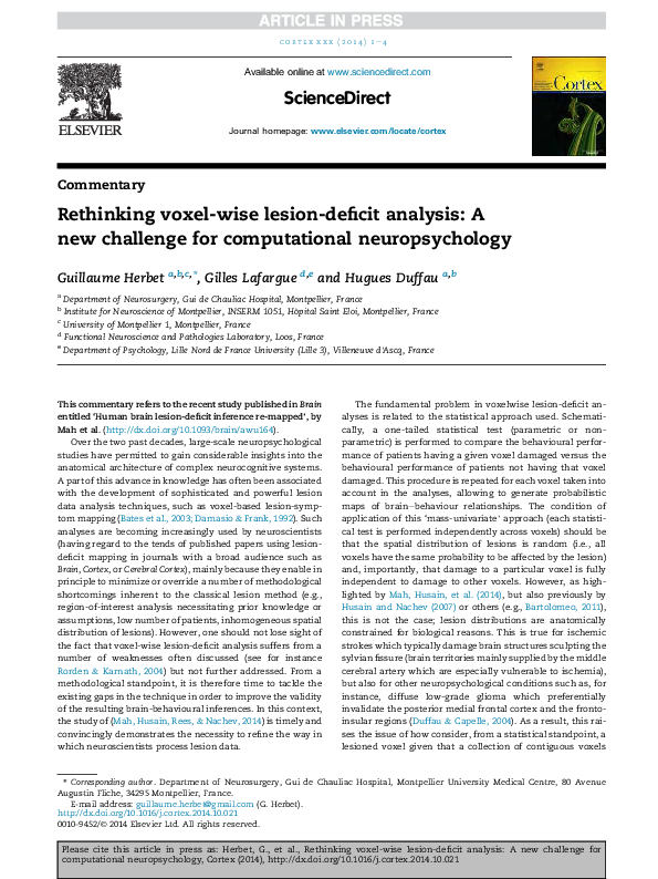 (PDF) Rethinking voxel-wise lesion-deficit analysis: A new challenge for computational ...