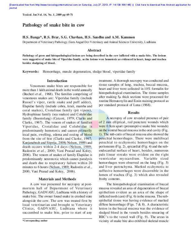 (PDF) Pathology of snake bite in cow