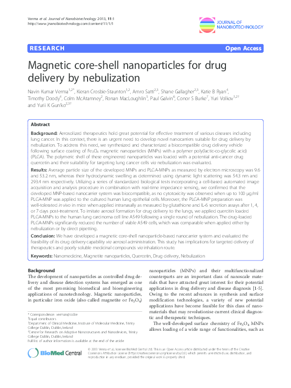 (PDF) Magnetic core-shell nanoparticles for drug delivery by nebulization