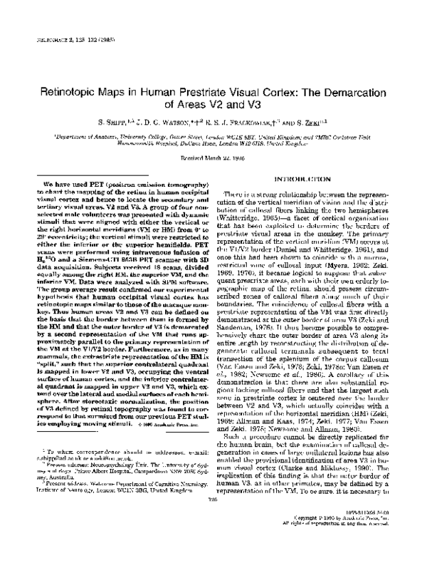 (PDF) Retinotopic Maps in Human Prestriate Visual Cortex: The Demarcation of Areas V2 and V3