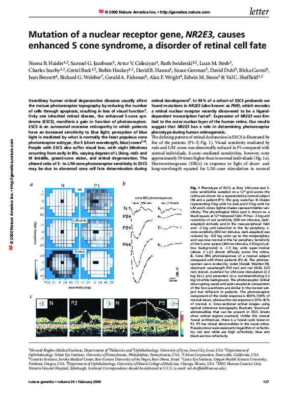 (PDF) Mutation of a nuclear receptor gene, NR2E3, causes enhanced S ...