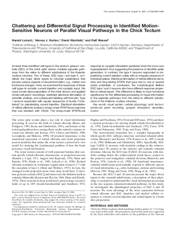(PDF) Chattering and differential signal processing in identified ...