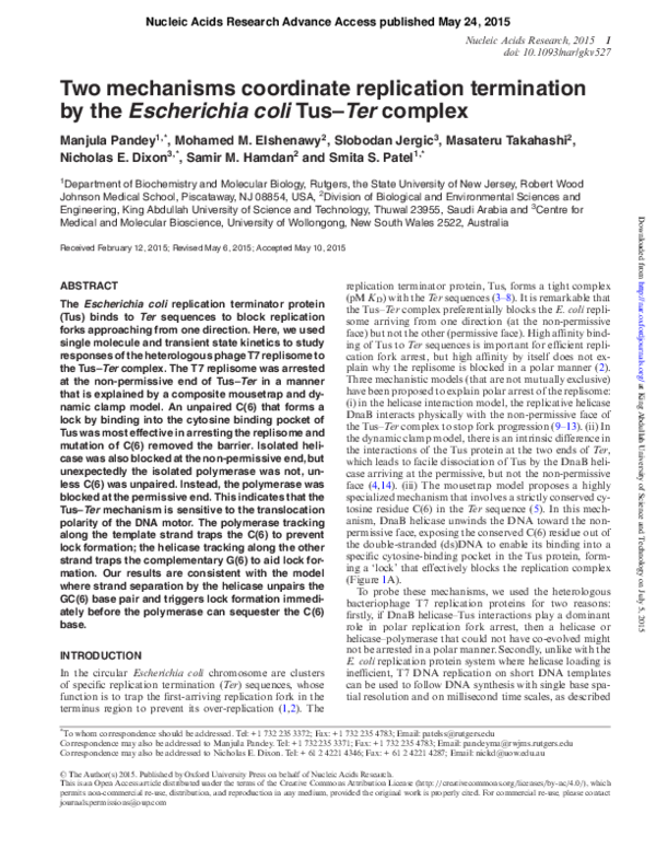 (PDF) Two mechanisms coordinate replication termination by the ...