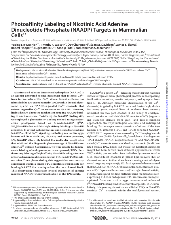 (PDF) Photoaffinity Labeling of Nicotinic Acid Adenine Dinucleotide ...