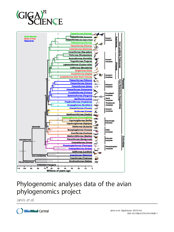 (PDF) Phylogenomic analyses data of the avian phylogenomics project