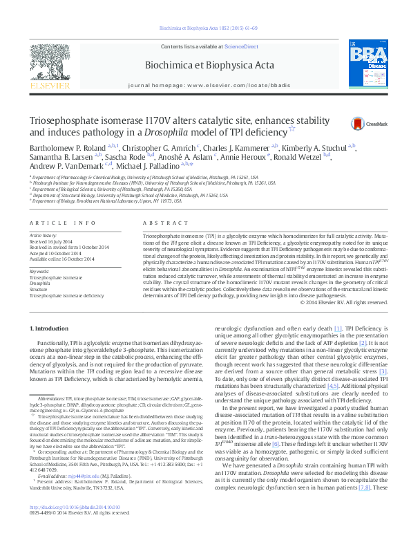 (PDF) Triosephosphate isomerase I170V alters catalytic site, enhances ...