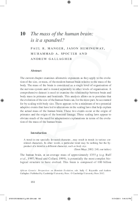 (PDF) The mass of the human brain: is it a spandrel? | Jason Hemingway ...