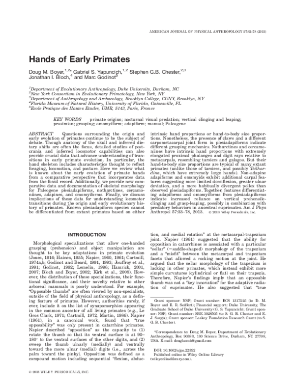 (PDF) Hands of early primates