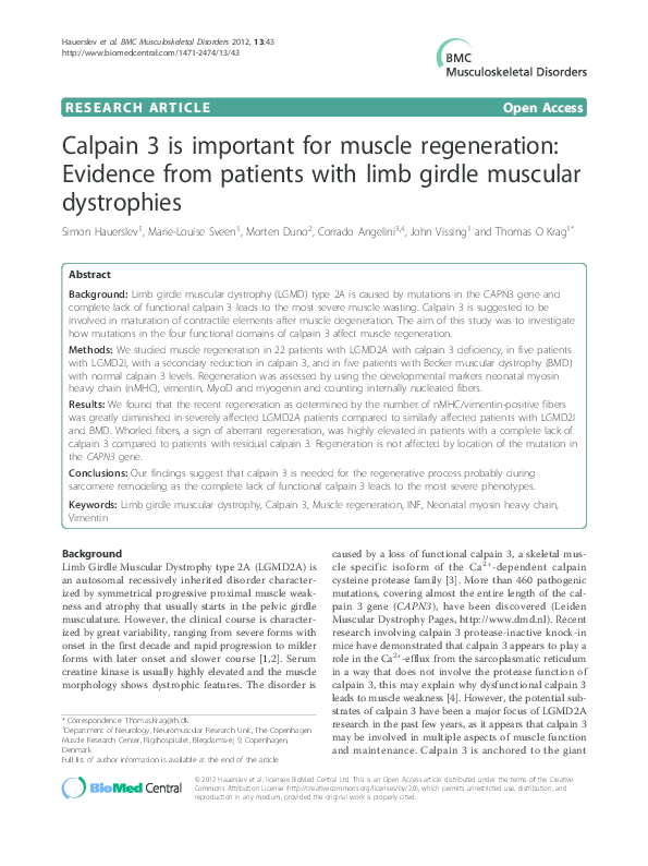 (PDF) Calpain 3 is important for muscle regeneration: Evidence from ...