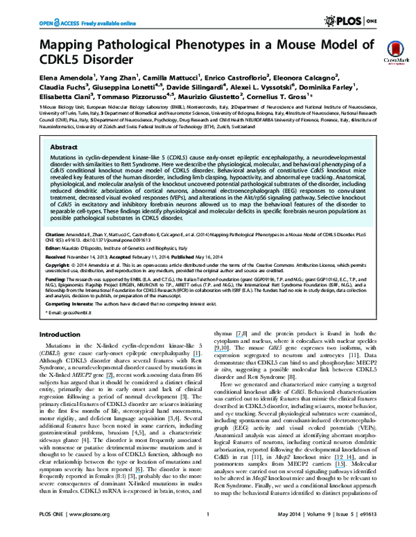 (PDF) Mapping Pathological Phenotypes in a Mouse Model of CDKL5 Disorder