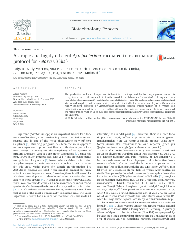 Pdf A Simple And Highly Efficient Agrobacterium Mediated Transformation Protocol For Setaria