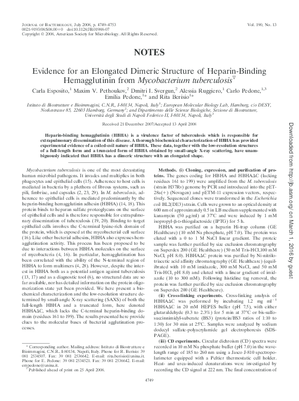 Pdf Evidence For An Elongated Dimeric Structure Of Heparin Binding