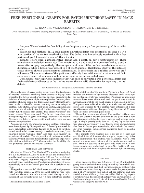 (PDF) FREE PERITONEAL GRAFTS FOR PATCH URETHROPLASTY IN MALE RABBITS