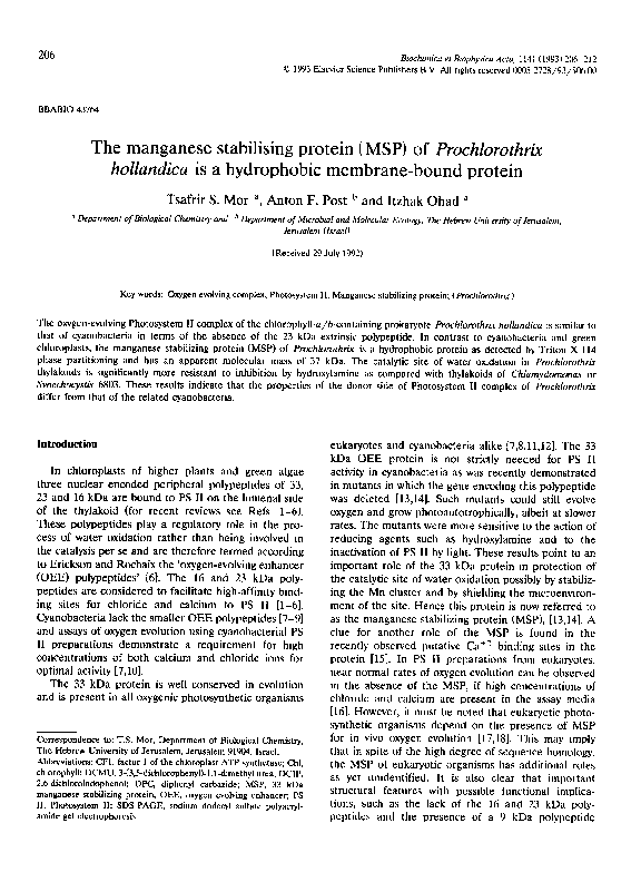 (PDF) The manganese stabilising protein (MSP) of Prochlorothrix ...