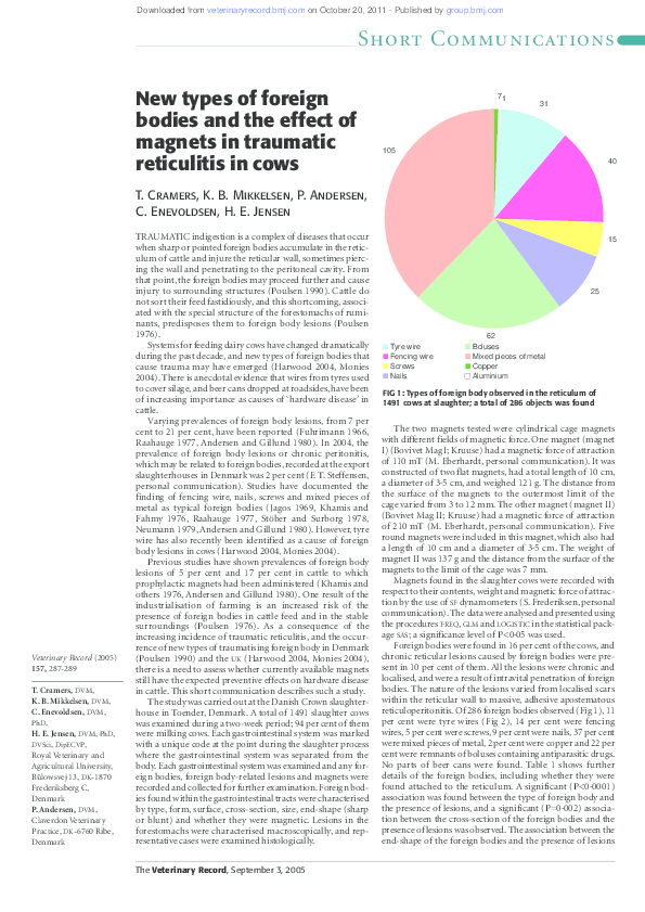 (PDF) New types of foreign bodies and the effect of magnets in ...