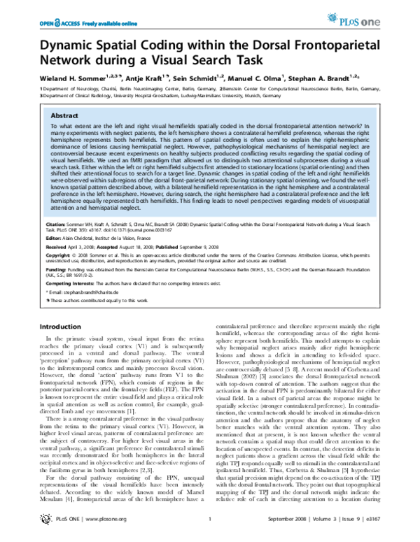 Pdf Dynamic Spatial Coding Within The Dorsal Frontoparietal Network