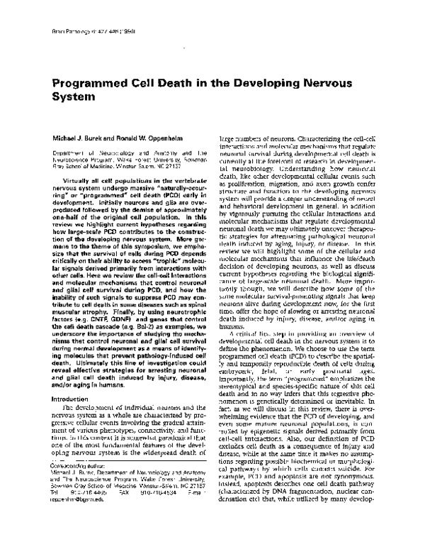 (PDF) Programmed Cell Death in the Developing Nervous System