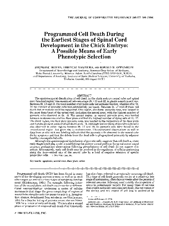 (PDF) Programmed cell death during the earliest stages of spinal cord ...