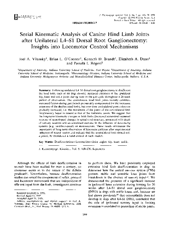 (PDF) Serial kinematic analysis of canine hind limb joints after ...