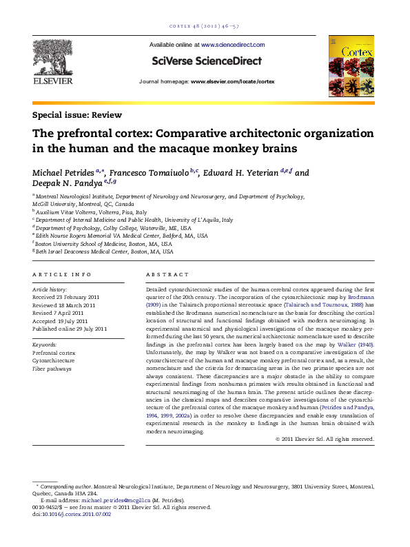 (PDF) The prefrontal cortex: Comparative architectonic organization in the human and the macaque ...