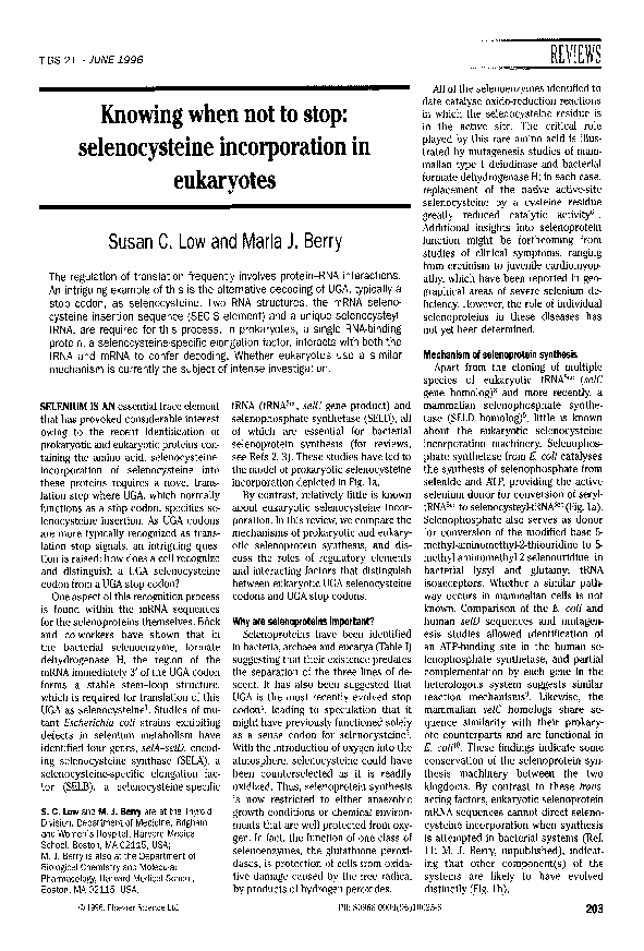 Pdf Knowing When Not To Stop Selenocysteine Incorporation In Eukaryotes