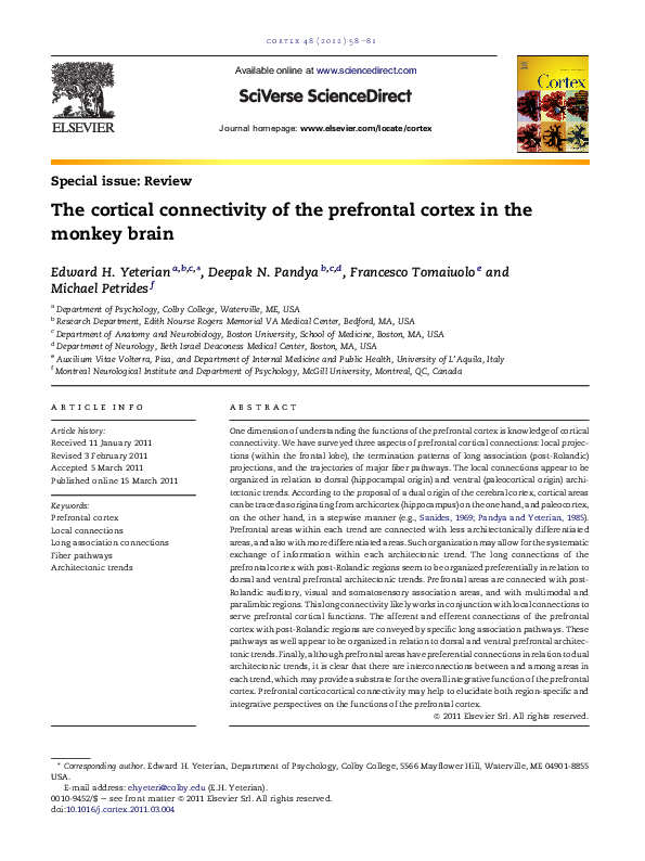 (PDF) The cortical connectivity of the prefrontal cortex in the monkey ...