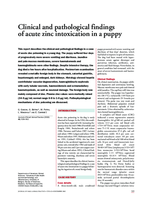 (PDF) Clinical and pathological findings of acute zinc intoxication in ...