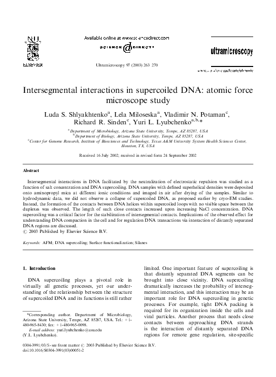 (PDF) Intersegmental interactions in supercoiled DNA: atomic force ...