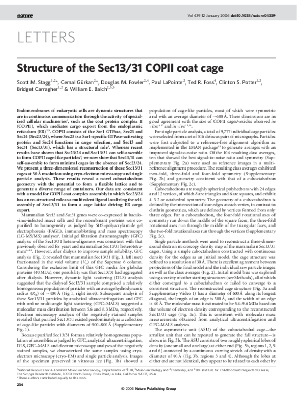 (PDF) Structure of the Sec13/31 COPII coat cage