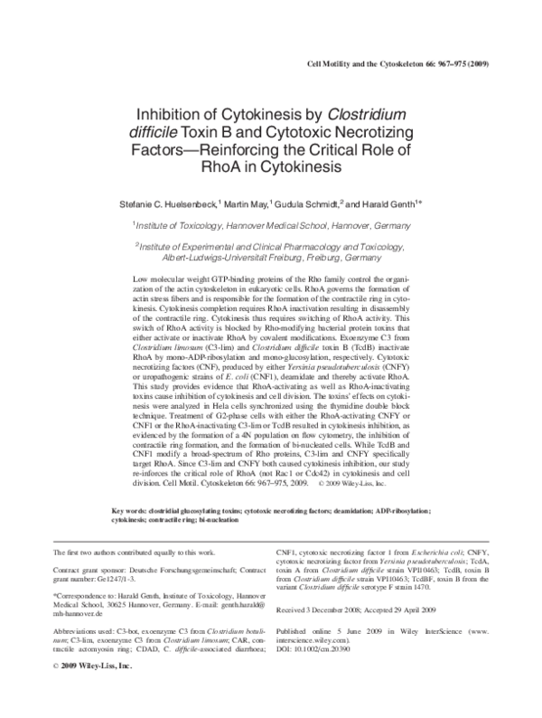(PDF) Inhibition of cytokinesis by Clostridium difficile toxin B and cytotoxic necrotizing ...
