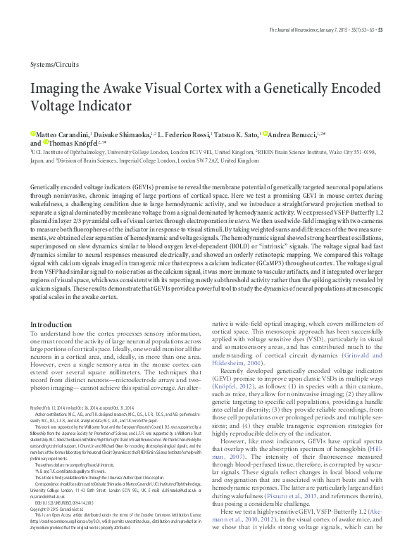 (PDF) Imaging the awake visual cortex with a genetically encoded ...