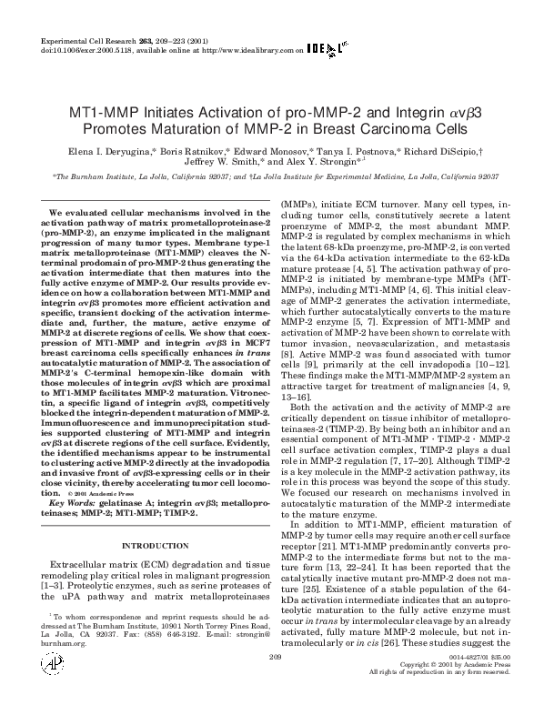 (PDF) MT1-MMP Initiates Activation of pro-MMP-2 and Integrin αvβ3 ...