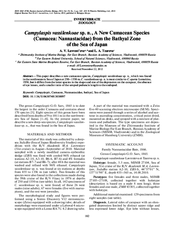 (PDF) Campylaspis vassilenkoae sp. n., a new cumacean species (Cumacea ...