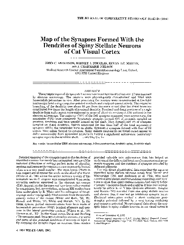 (PDF) Map of the synapses formed with the dendrites of spiny stellate ...