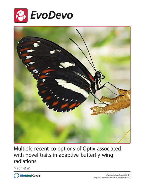 (PDF) Multiple recent co-options of Optix associated with novel traits ...