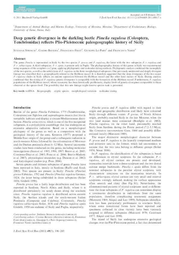 (PDF) Deep genetic divergence in the darkling beetle Pimelia rugulosa ...