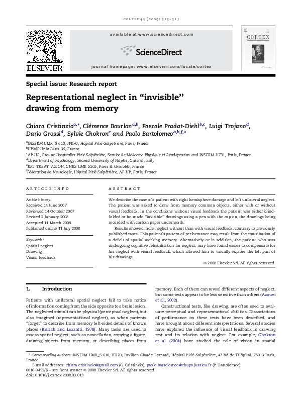 (PDF) Representational neglect in “invisible” drawing from memory