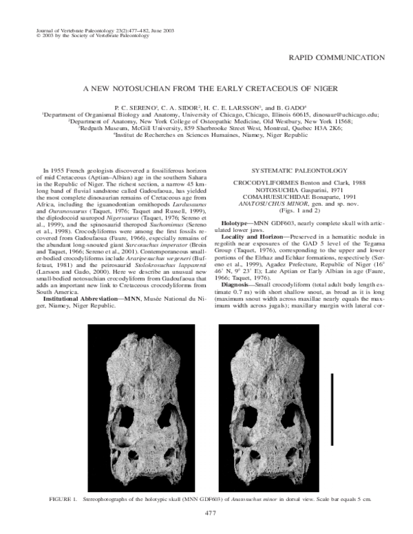 (PDF) A new notosuchian from the Early Cretaceous of Niger