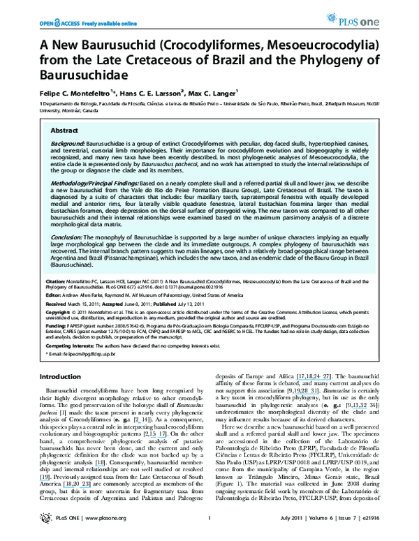 (PDF) A New Baurusuchid (Crocodyliformes, Mesoeucrocodylia) from the ...