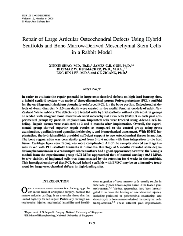 (PDF) Repair of Large Articular Osteochondral Defects Using Hybrid ...