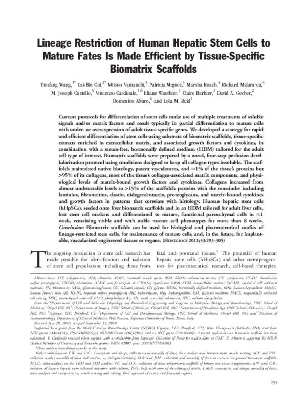 (PDF) Lineage restriction of human hepatic stem cells to mature fates ...