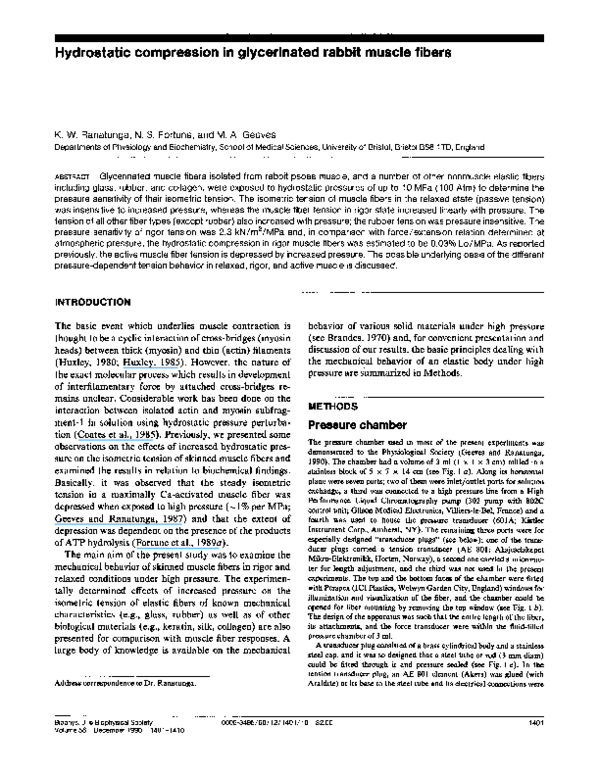 Hydrostatic compression in glycerinated rabbit muscle fibers