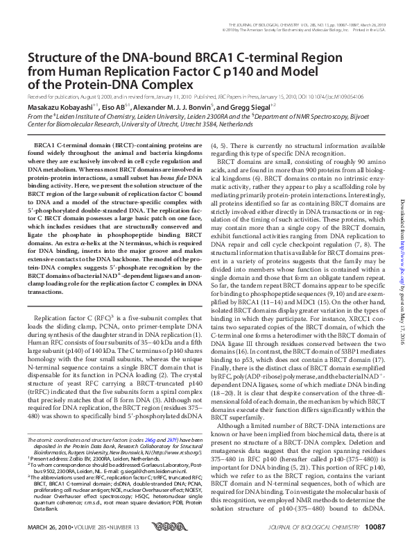 (PDF) Structure of the DNA-bound BRCA1 C-terminal Region from Human ...