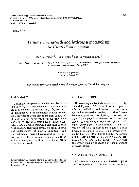 (PDF) Lithotrophic growth and hydrogen metabolism by Clostridium magnum