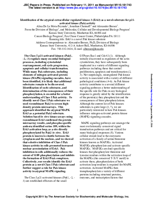 (PDF) Erk3 Identified as a Substrate for Pak Kinases