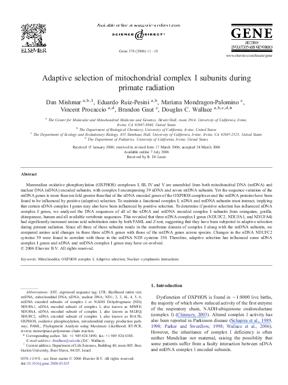 (PDF) Adaptive selection of mitochondrial complex I subunits during ...