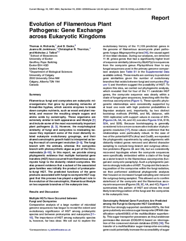 (PDF) Evolution of Filamentous Plant Pathogens: Gene Exchange across ...