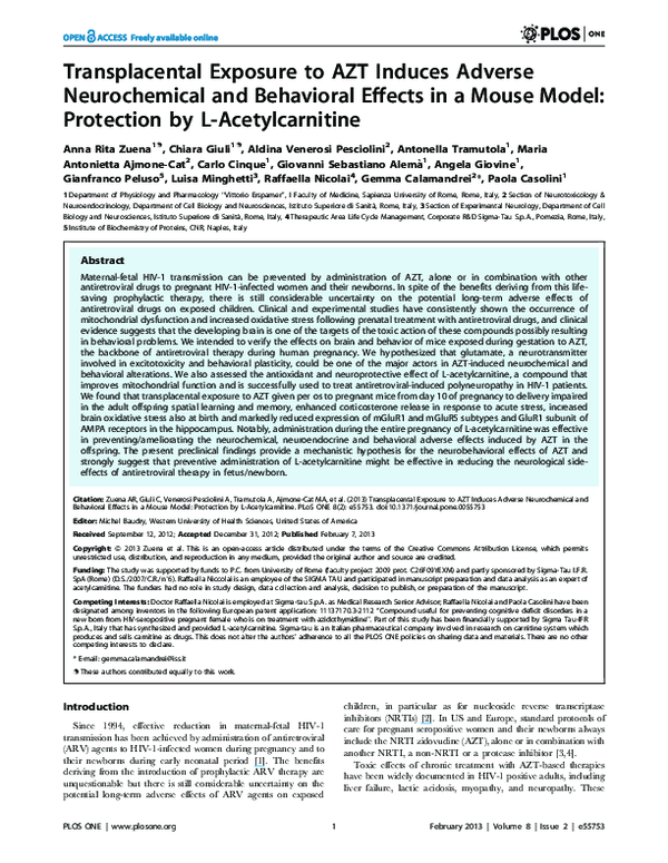 (PDF) Transplacental Exposure to AZT Induces Adverse Neurochemical and ...