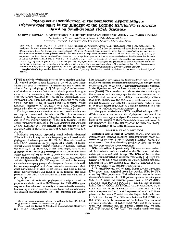 (PDF) Phylogenetic Identification of the Symbiotic Hypermastigote ...
