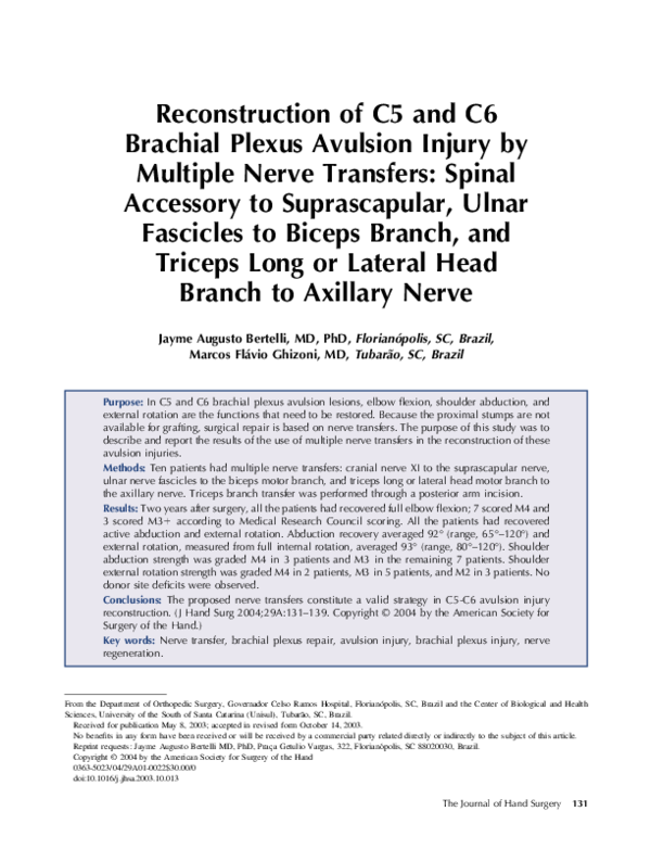 (PDF) Reconstruction of C5 and C6 brachial plexus avulsion injury by ...